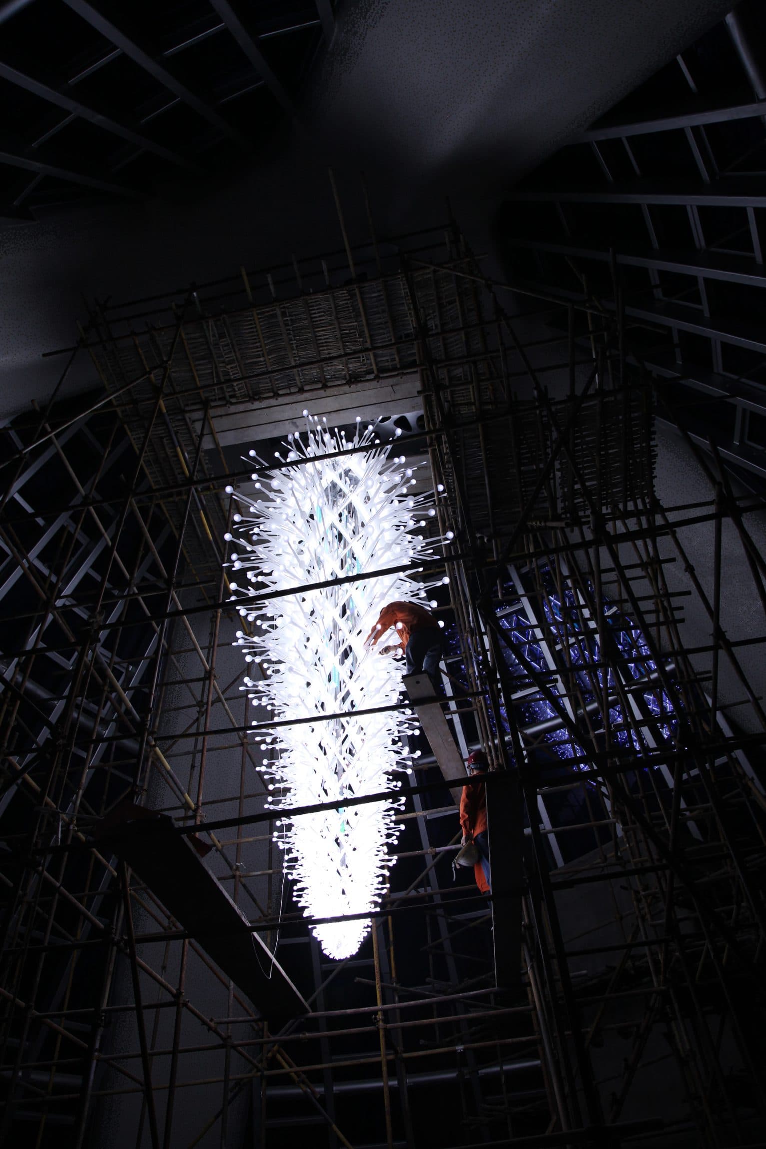 The Lotus Building - Decibel Architecture